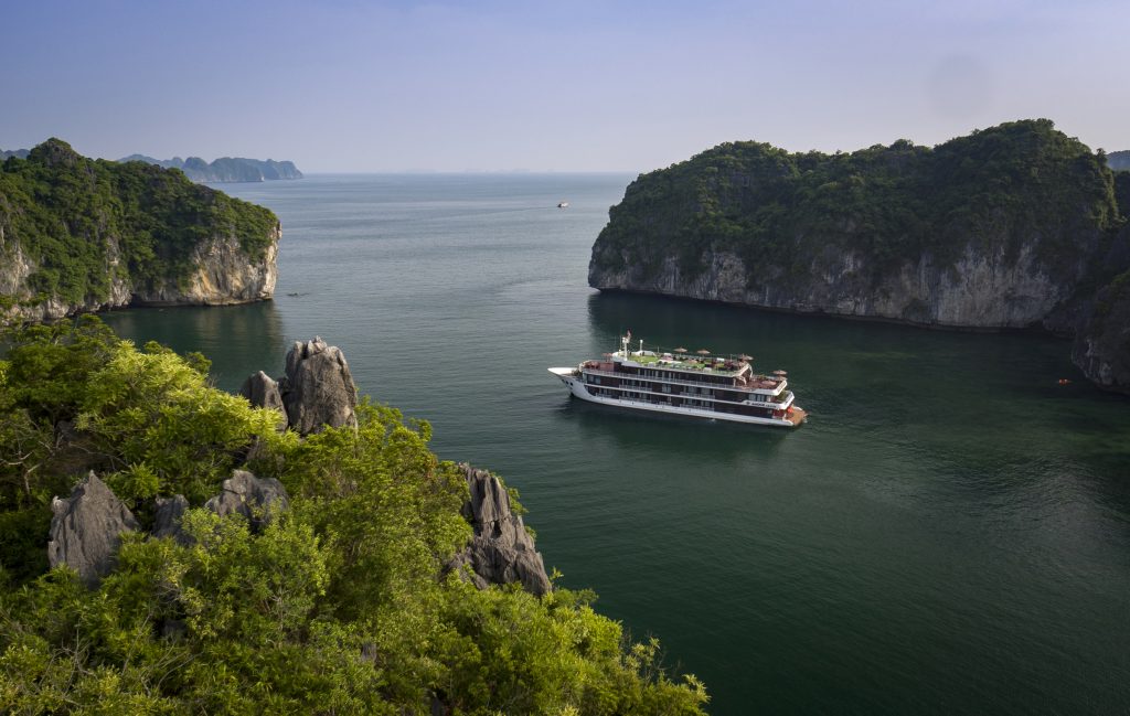Welcome to Dora Cruise - DORA CRUISE OFFICIAL WEBSITE