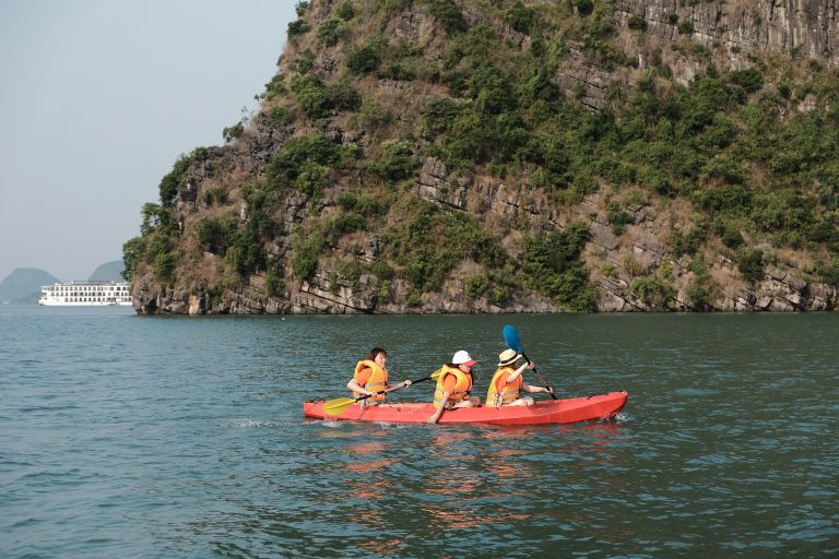 DORA CRUISE OFFICIAL WEBSITE